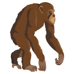 Chimpanzee Vector Images (over 13,000)