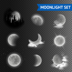 Moonlight banners vertical set Royalty Free Vector Image