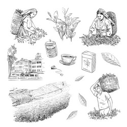 Tea Making Vector Images (over 1,100)