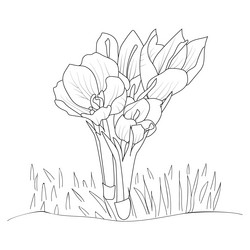 Crocus Tattoo Flower Vector Images (70)