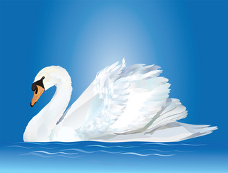 Swan Vector Images (over 15,000)