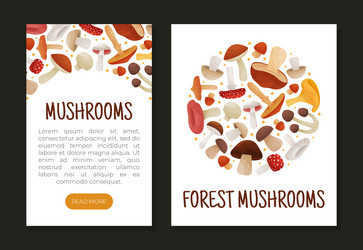 Mushroom banner design with edible agaric forest Vector Image