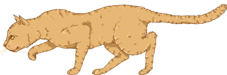 Sneaking gray striped cat Royalty Free Vector Image