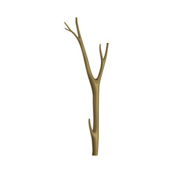 Bare tree branch or twigs with naked stem and snag