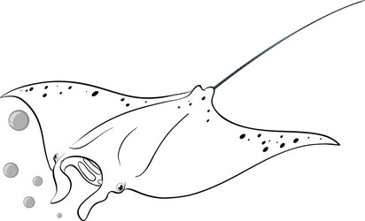Stingray Outline