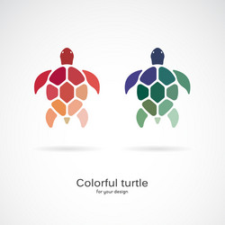 Turtle Royalty Free Vector Image - VectorStock