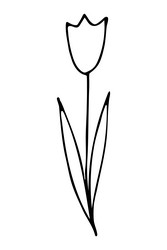 Single Tulip Vector Images (over 860)