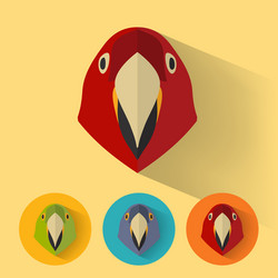 Parrot Face Vector Images (over 990)