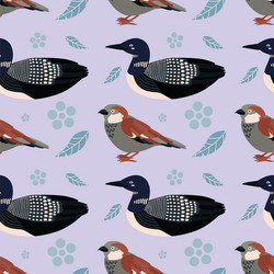 Pattern with loon bird Royalty Free Vector Image