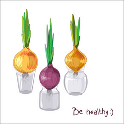 Spring onions fresh one pack design isolated Vector Image