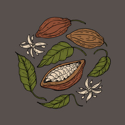 Cocoa Flower Vector Images (over 1,000)