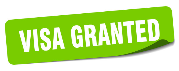 Visa granted sticker label Royalty Free Vector Image