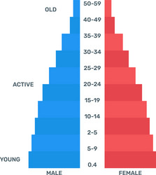 Population Pyramid Vector Images (over 230)