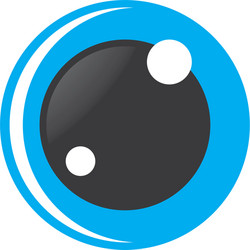 Eye camera logo icon design Royalty Free Vector Image