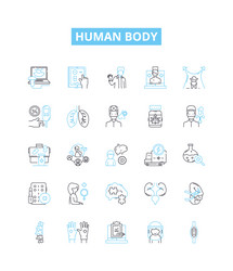 Human body line icons set anatomy Royalty Free Vector Image