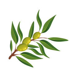 Olive Leaf Vector Images (over 25,000)