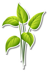 Cartoon sticker with green tree leaf Royalty Free Vector