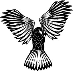 Hawk 2 Royalty Free Vector Image - VectorStock