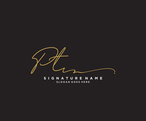 Pt Logo Vector Images (over 2,200)