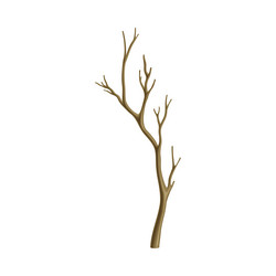 Bare tree branch or twigs with naked stem and snag