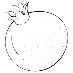 Pomegranate Clipart Black And White