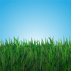 Grass Vector Images (over 350,000)