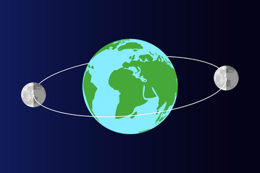 Earths orbit earth rotation around the sun Vector Image