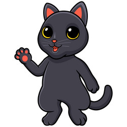 Cute bombay cat cartoon sitting Royalty Free Vector Image