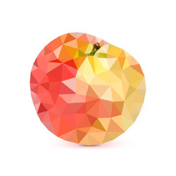 Triangulation of an apple Royalty Free Vector Image
