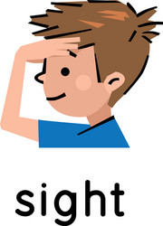 Sight sense icon Royalty Free Vector Image - VectorStock