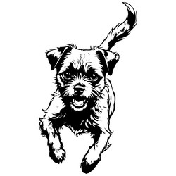 Border collie jump drawing black silhouette Vector Image