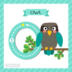Owl Flashcard Vector Images (over 100)