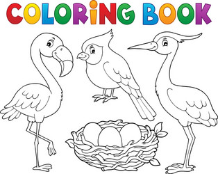 Bird Nest Coloring Book Vector Images (over 180)