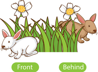 Opposite words with front and behind Royalty Free Vector