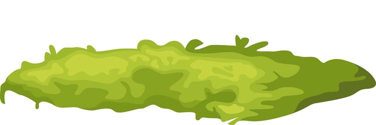Grass moss Royalty Free Vector Image - VectorStock
