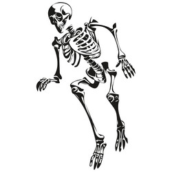 Skeleton reflection in monochrome Royalty Free Vector Image