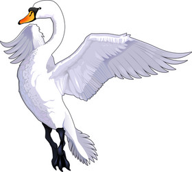 Swan Vector Images (over 14,000)