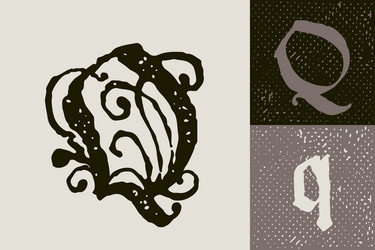 Gothic style letter q logo calligraphy uppercase Vector Image