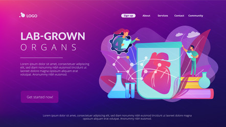 Lab-grown organs concept landing page Royalty Free Vector