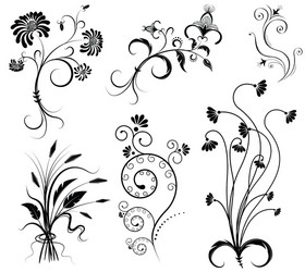Floral elements Royalty Free Vector Image - VectorStock