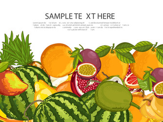 Set of mixed fruit Royalty Free Vector Image - VectorStock