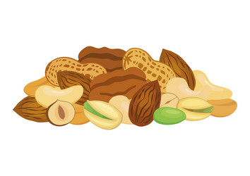 Mixed Nut Vector Images (over 1,900)