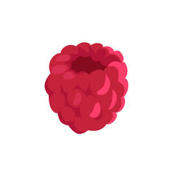 Raspberry berry cartoon Royalty Free Vector Image
