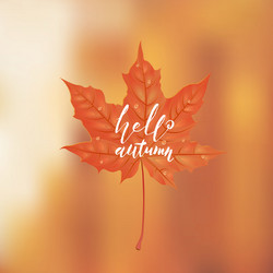 Hello october hand written ink lettering Vector Image