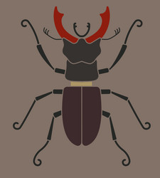 Stag beetle Royalty Free Vector Image - VectorStock