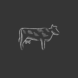 Chalk Cow Vector Images (over 390)