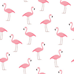 Cartoon pictures of exotic pink bird flamingo Vector Image