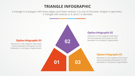 Infographic triangle concept for slide Royalty Free Vector