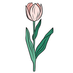 Single Tulip Vector Images (over 860)