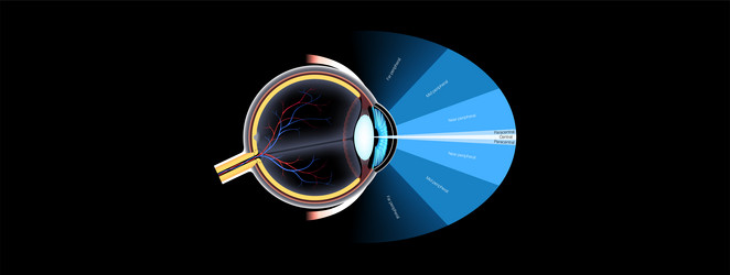 Peripheral vision poster Royalty Free Vector Image
